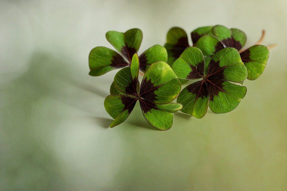 Sedm dní ke štěstí, část třetí | Ženy s.r.o.